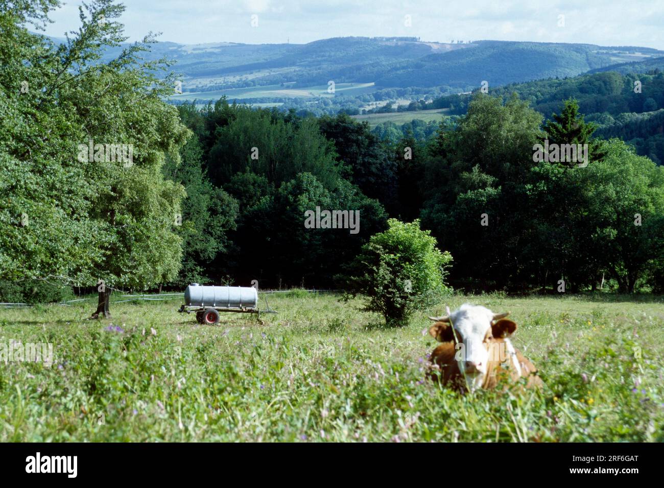Meadow at Stirnberg, near Bischofsheim, Rhoen Biosphere Reserve ...