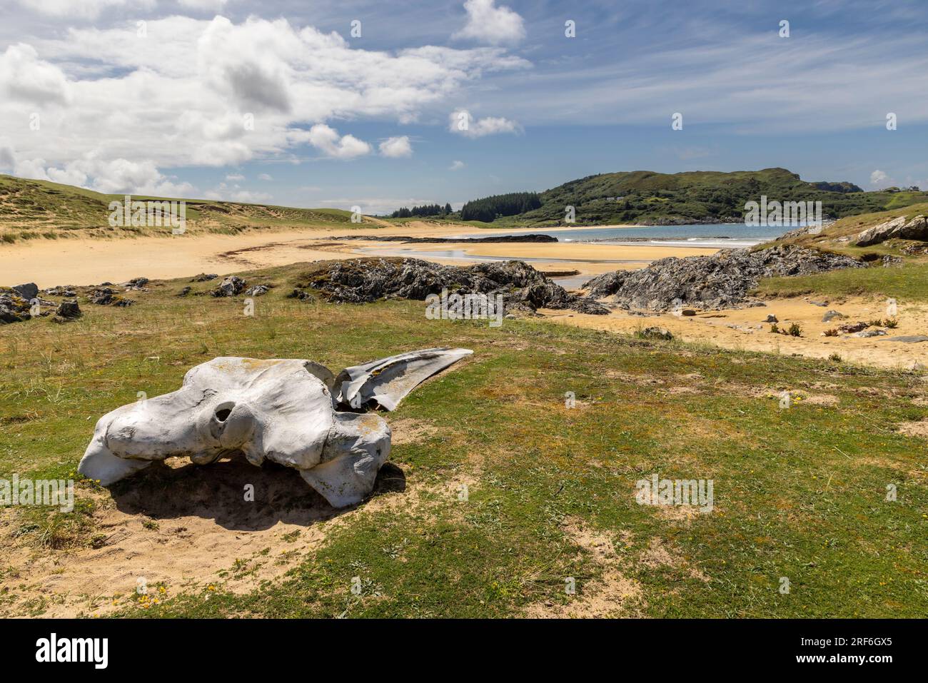 Whale bones on Kiloran Bay on the isle of Colonsay in Scotland Stock ...