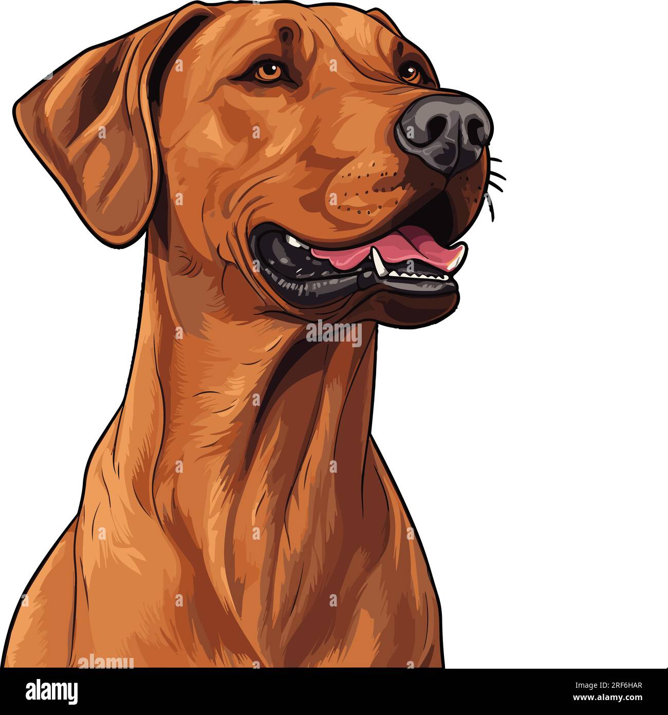Brave dog Stock Vector Images - Alamy