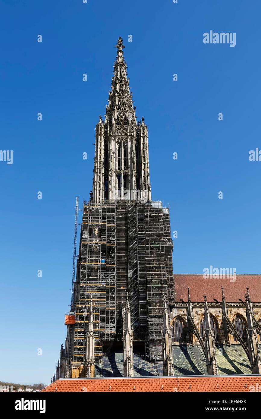 Ulm Cathedral, west tower, Cathedral of Our Lady in Ulm, roof of the ...