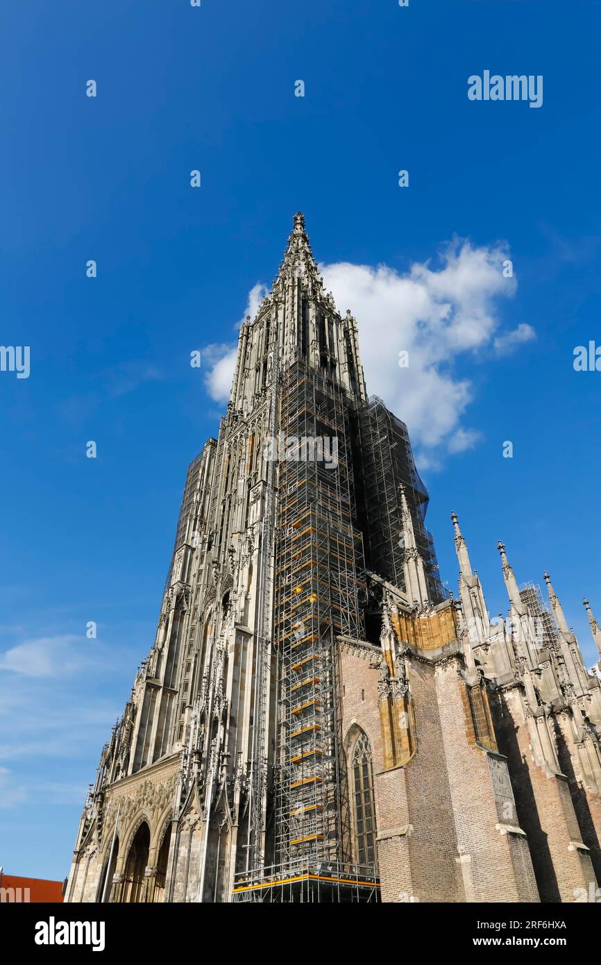 Ulm Cathedral, west tower, Cathedral of Our Lady in Ulm, Gothic ...