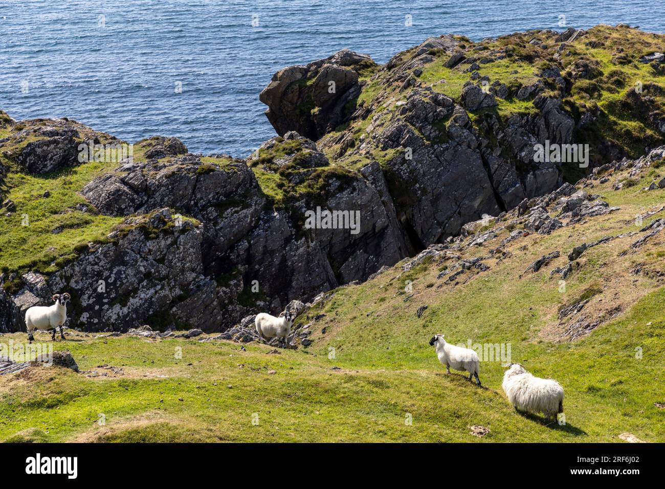 cliffs of Balnahard on the isle of Colonsay, Scotland Stock Photo - Alamy