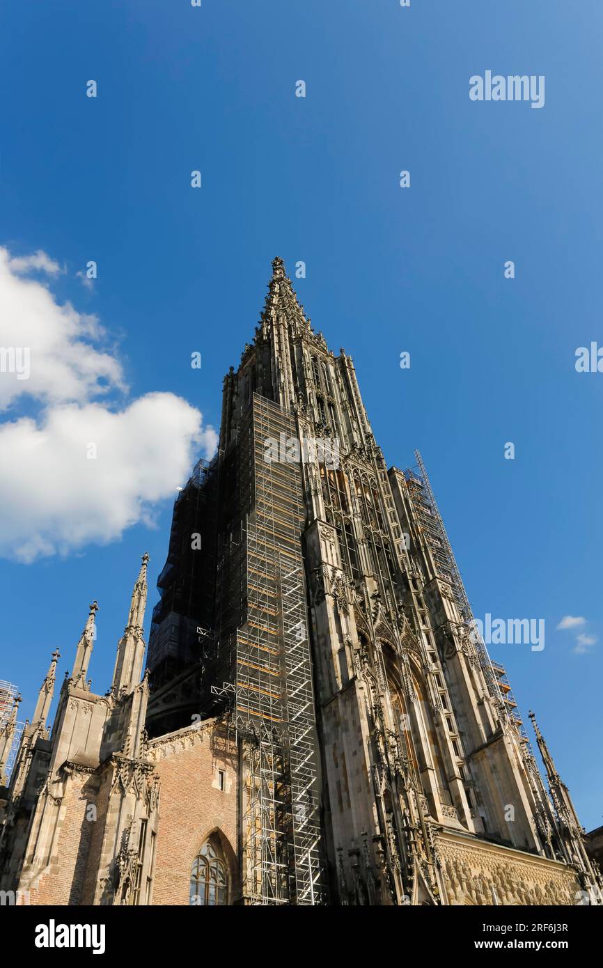 Ulm Cathedral, west tower, Cathedral of Our Lady in Ulm, Gothic ...
