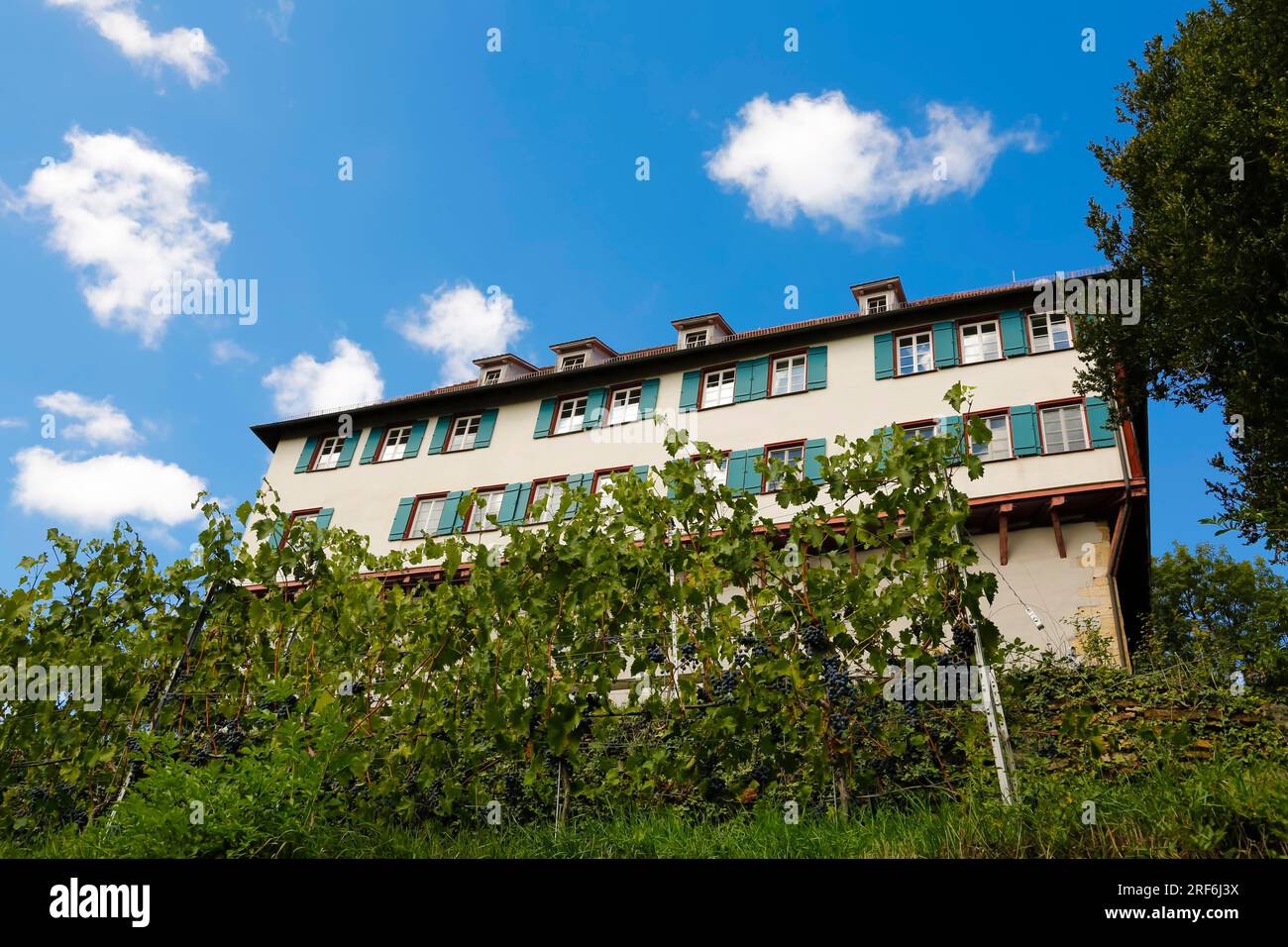 Gomaringen Castle, former parish seat of Johann Ulrich Schwindrazheim ...