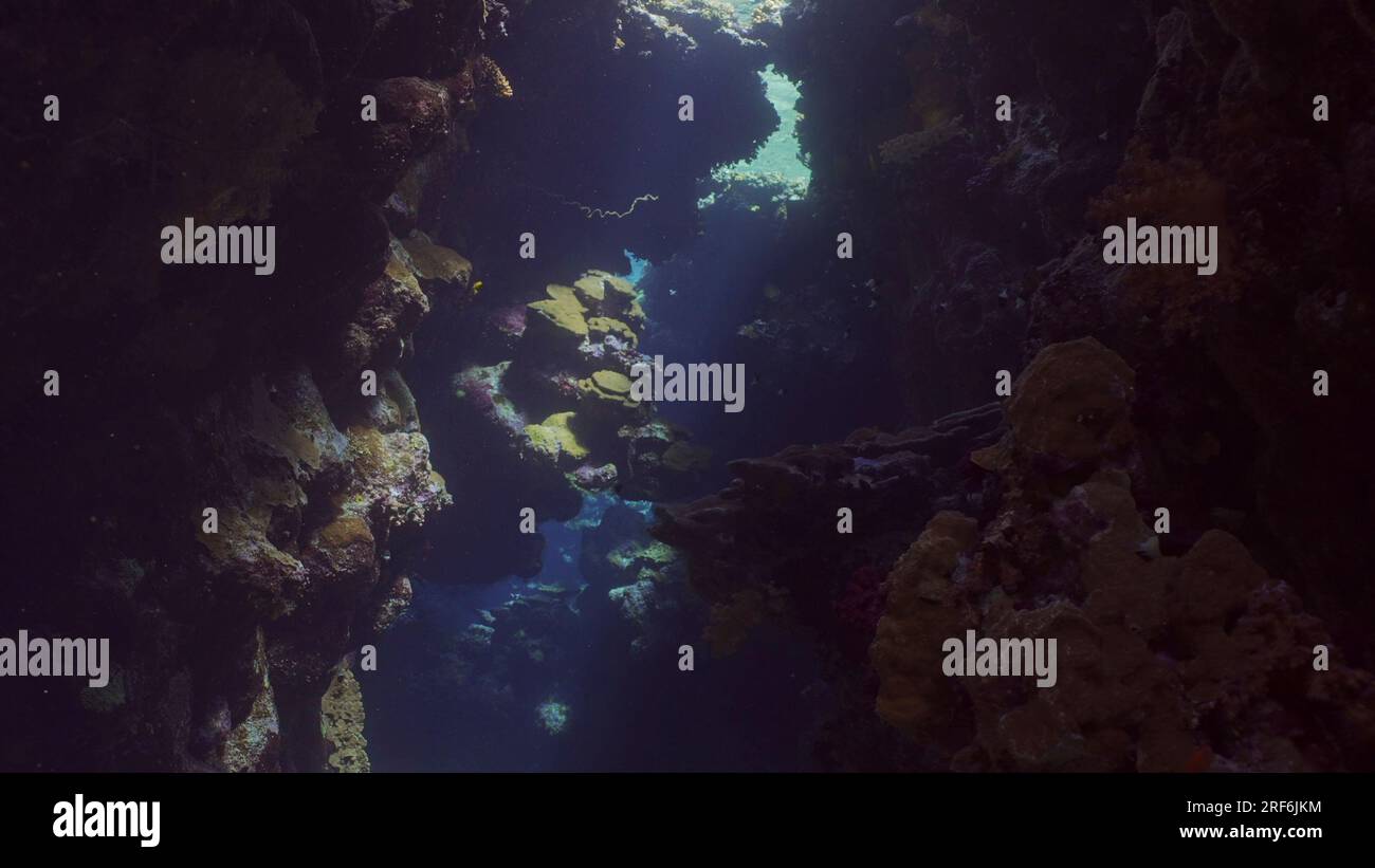 Sunshine penetrate the underwater coral cave and illuminate it ...