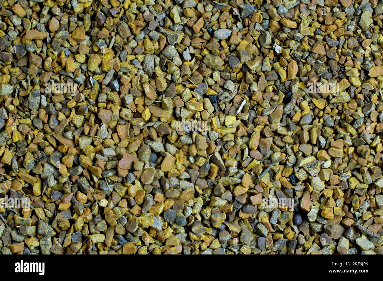 Citrus roots (Curcuma Stock Photo - Alamy