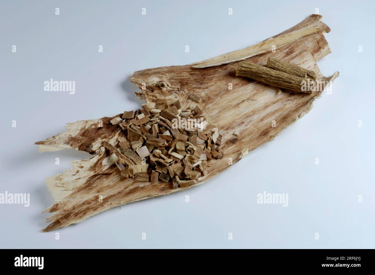 Soap bark (Quillajae cortex), quillajae bark, wash bark, wash wood ...