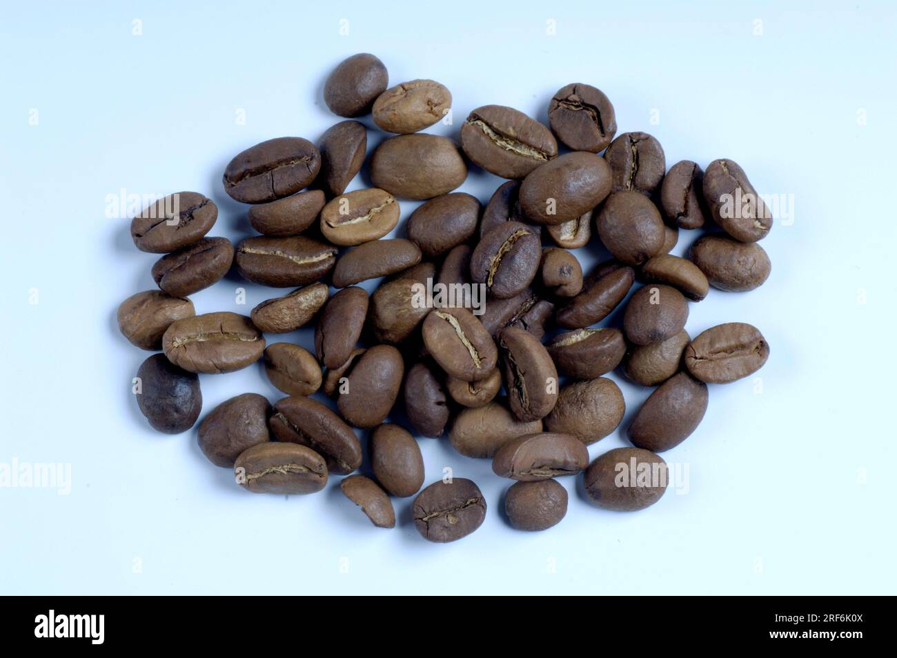 Coffee beans Minas, roasted (Coffea), coffee beans, coffee bean Stock ...