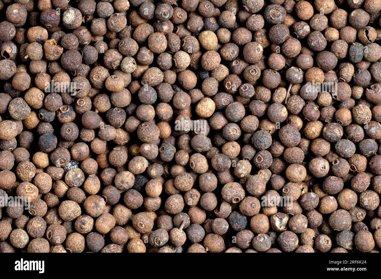 Pepper Spice
