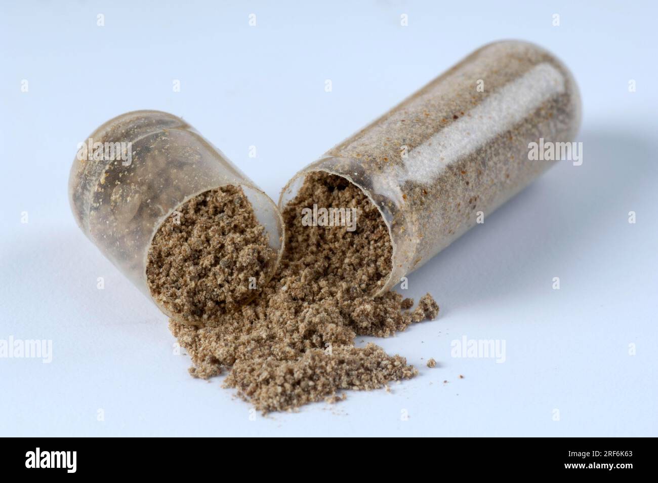 Lingzhi mushroom (Ganoderma lucidum), capsule, medicinal mushrooms ...