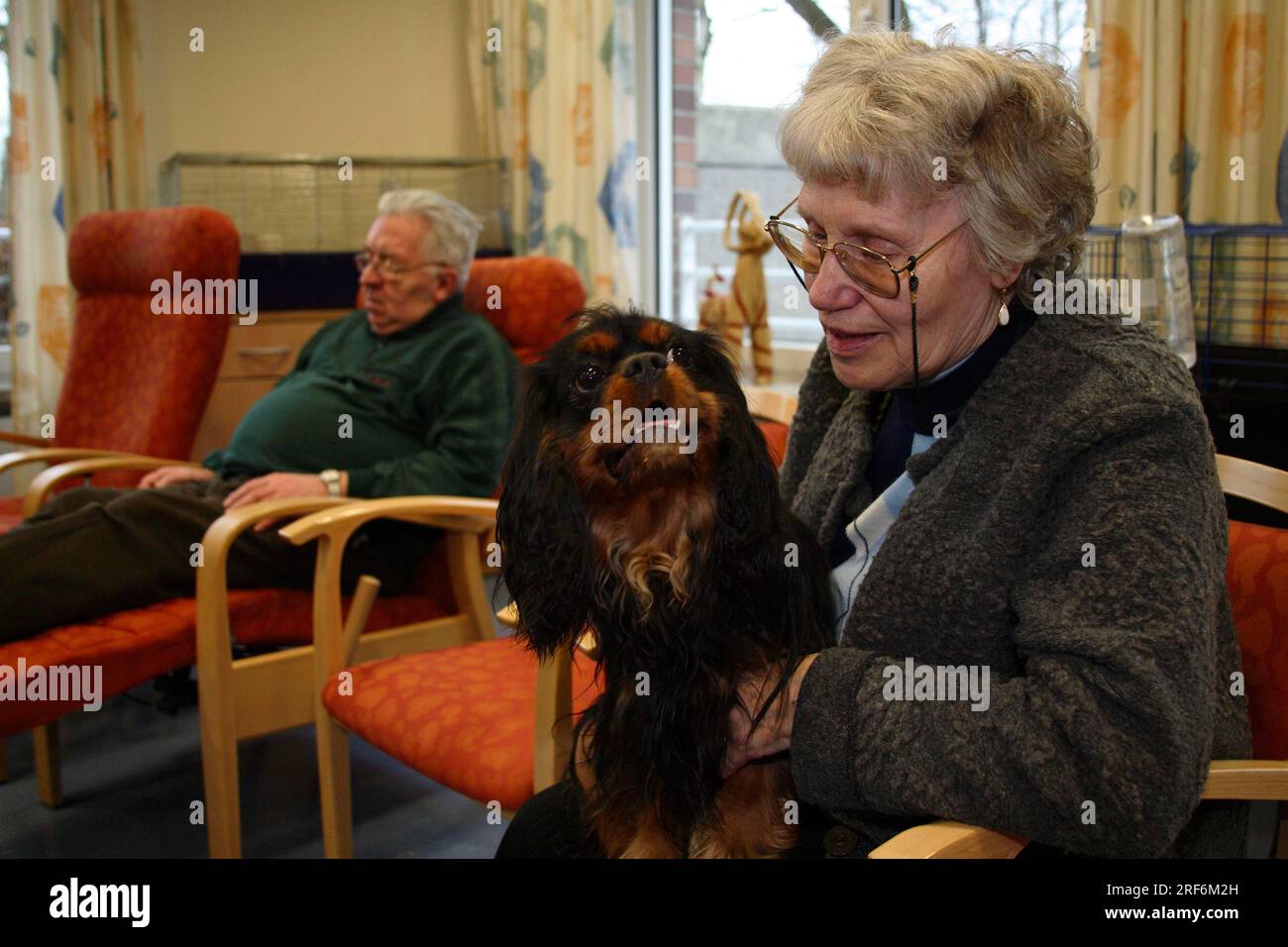 Senior citizen with Cavalier King Charles Spaniel, dog visiting service ...