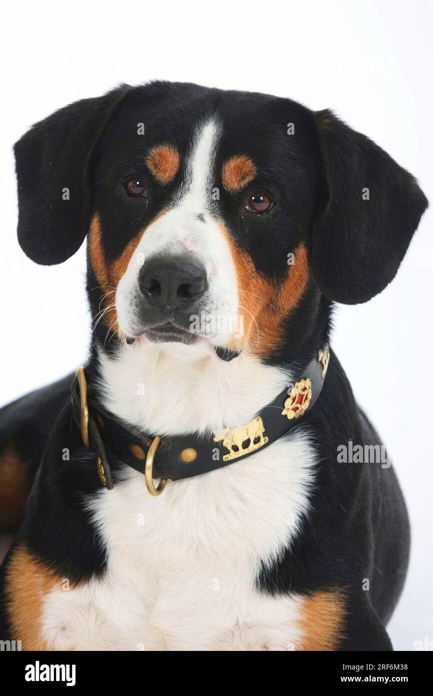 Entlebucher mountain hi-res stock photography and images - Alamy
