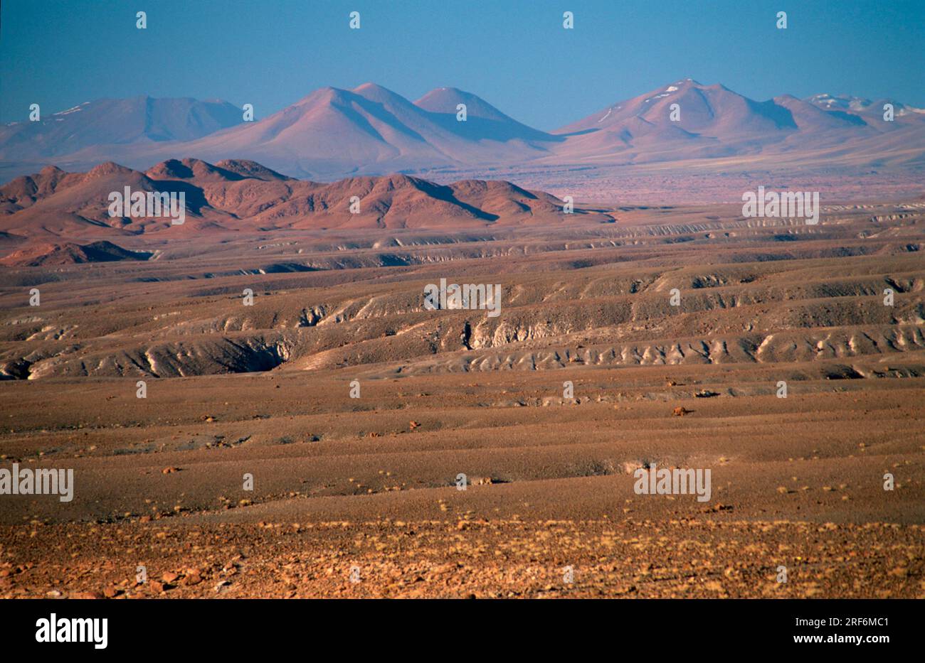 Atacama Desert in front of the Andes Cordillera, Chile Stock Photo - Alamy