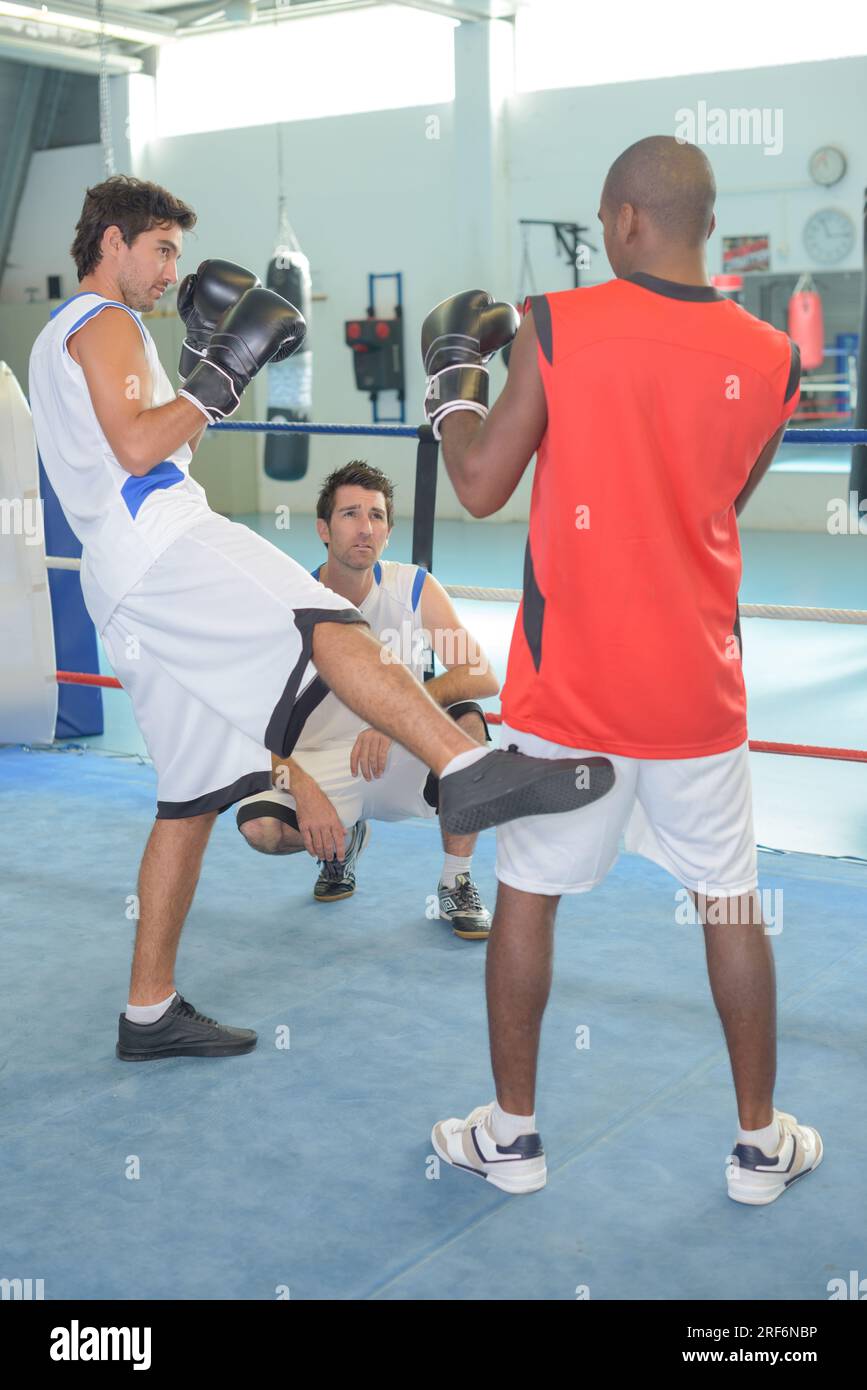 portrait of sport people doing kick boxing Stock Photo - Alamy