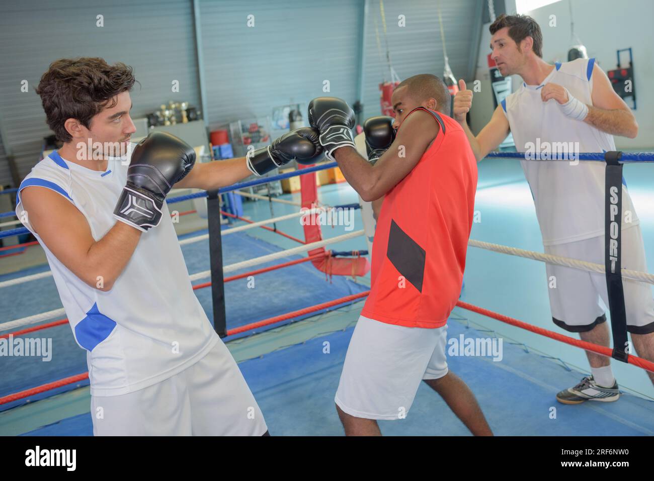 Boxers knockout punch hi-res stock photography and images - Alamy