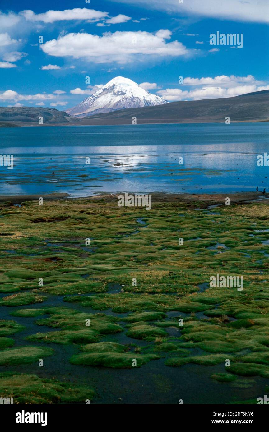 Lago Chungara, Lauca National Park, Chile Stock Photo - Alamy