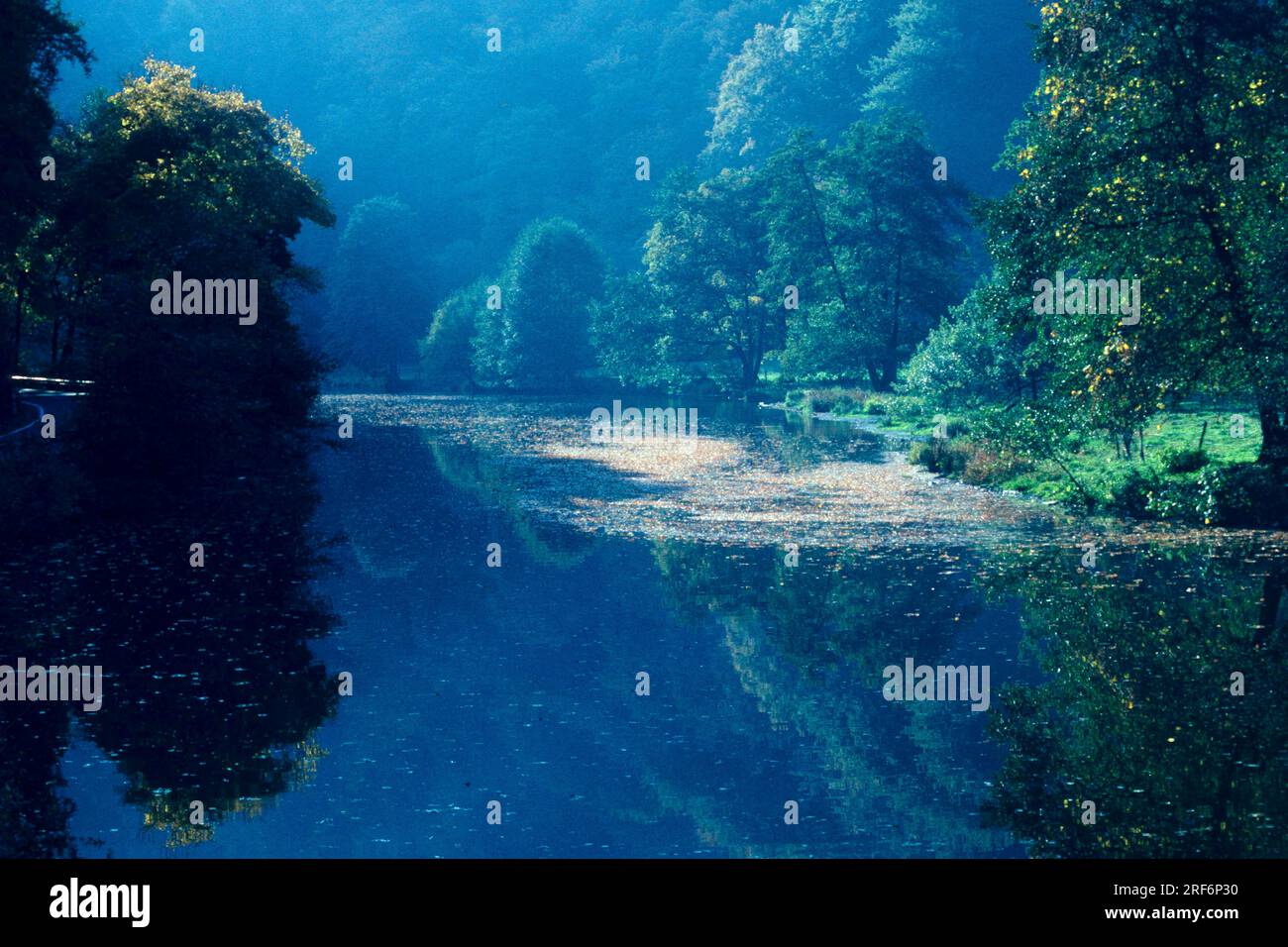 Pond, Wiedtal, Rhine-Westerwald nature Park, Germany Stock Photo - Alamy
