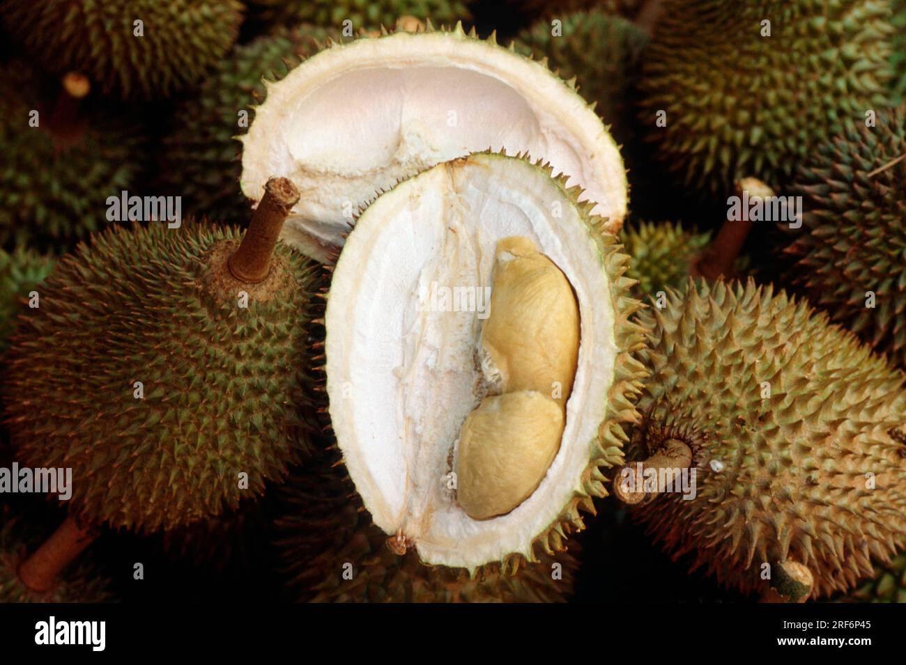 Stink fruit hi-res stock photography and images - Alamy