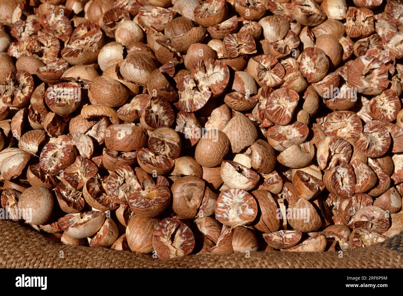 Sri lanka betel hi-res stock photography and images - Alamy