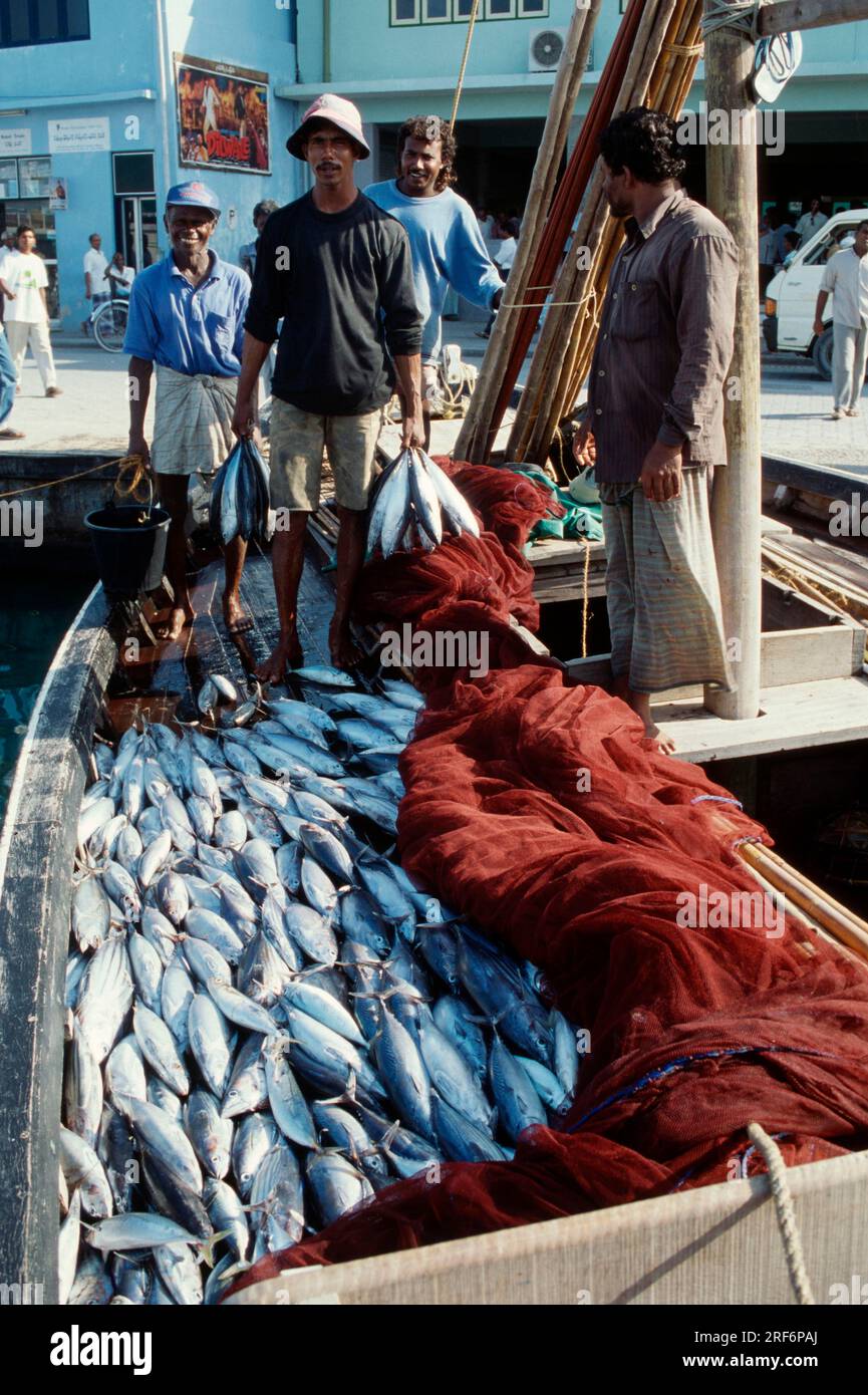 Fishing boat with catch in harbour, Male, North Male Atoll, Maldives ...