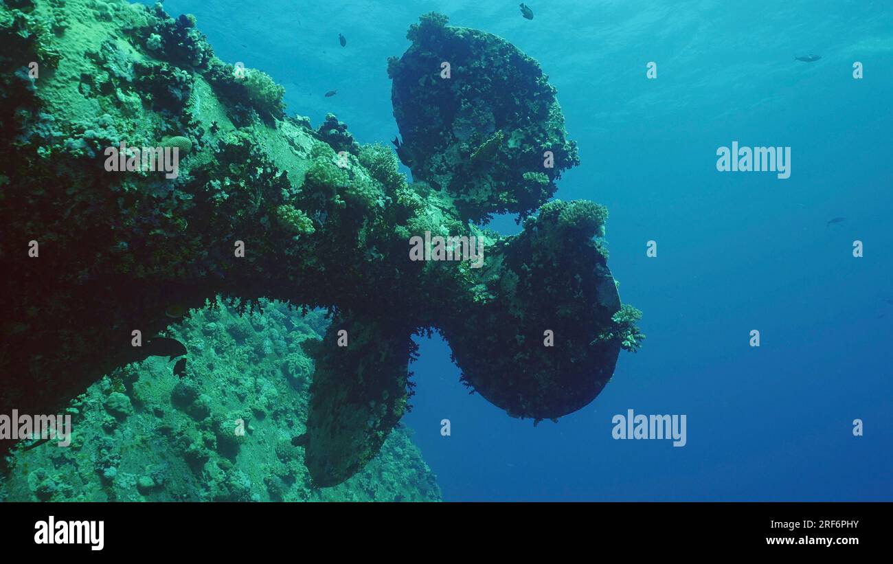 Red Sea, Egypt. 24th June, 2023. Propeller of ferry Salem Express ...