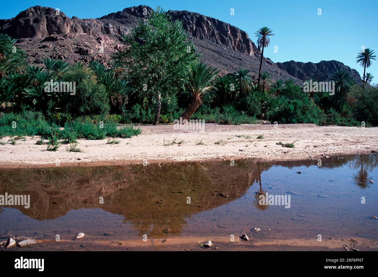 Fint oasis morocco hi-res stock photography and images - Alamy