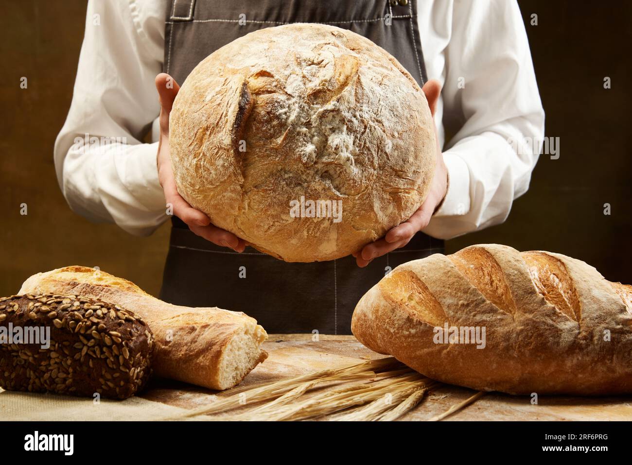 Male chef confectioner in apron hold and show warm round homemade bread over studio background ...