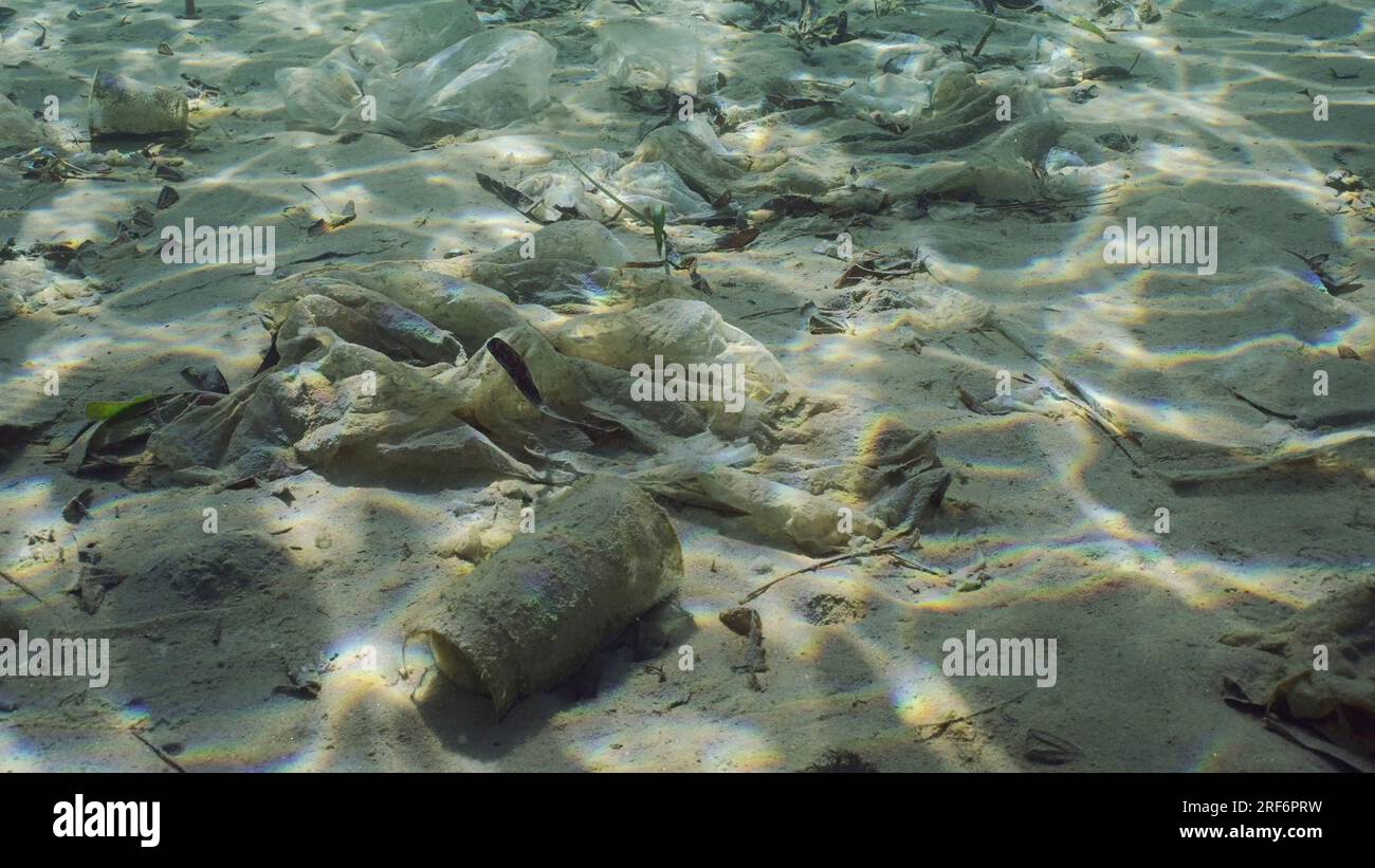Plastic garbage lies on sandy-silty bottom of sea in shallow water on ...