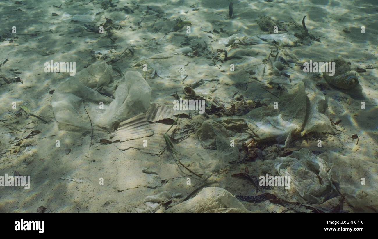 Plastic garbage lies on sandy-silty bottom of sea in shallow water on ...
