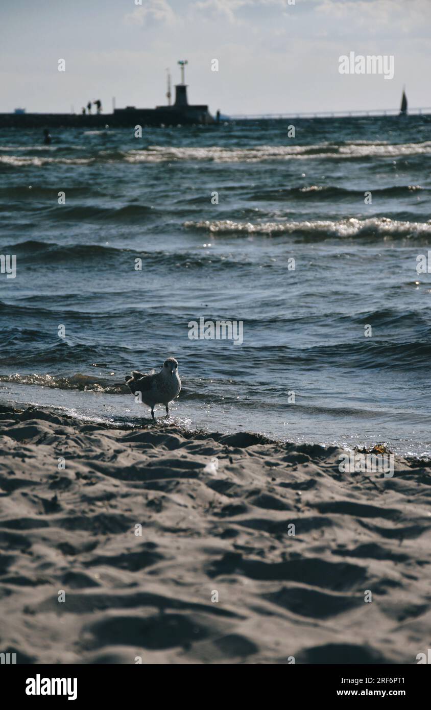 Visual calm hi-res stock photography and images - Alamy