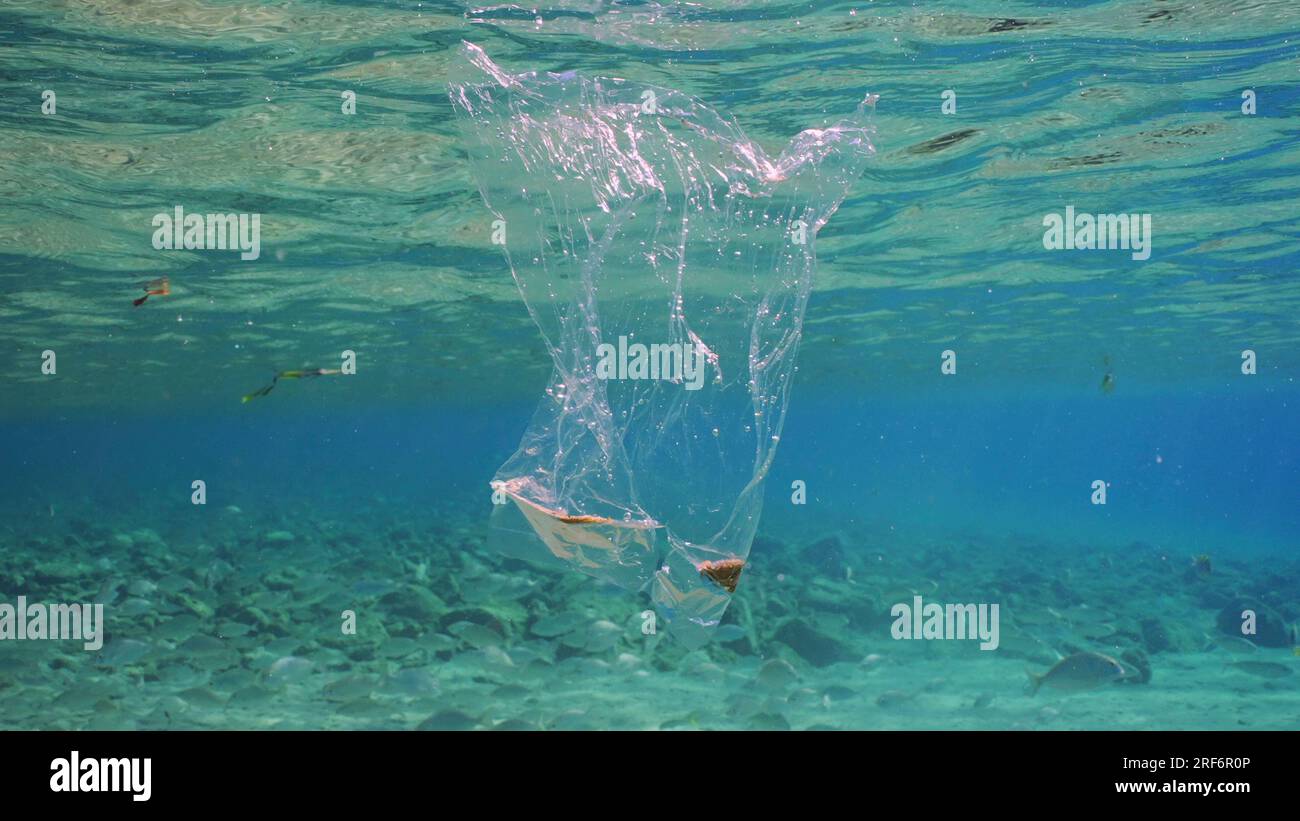 Plastic bag floating underwater. Transparent plastic bag drifts under ...