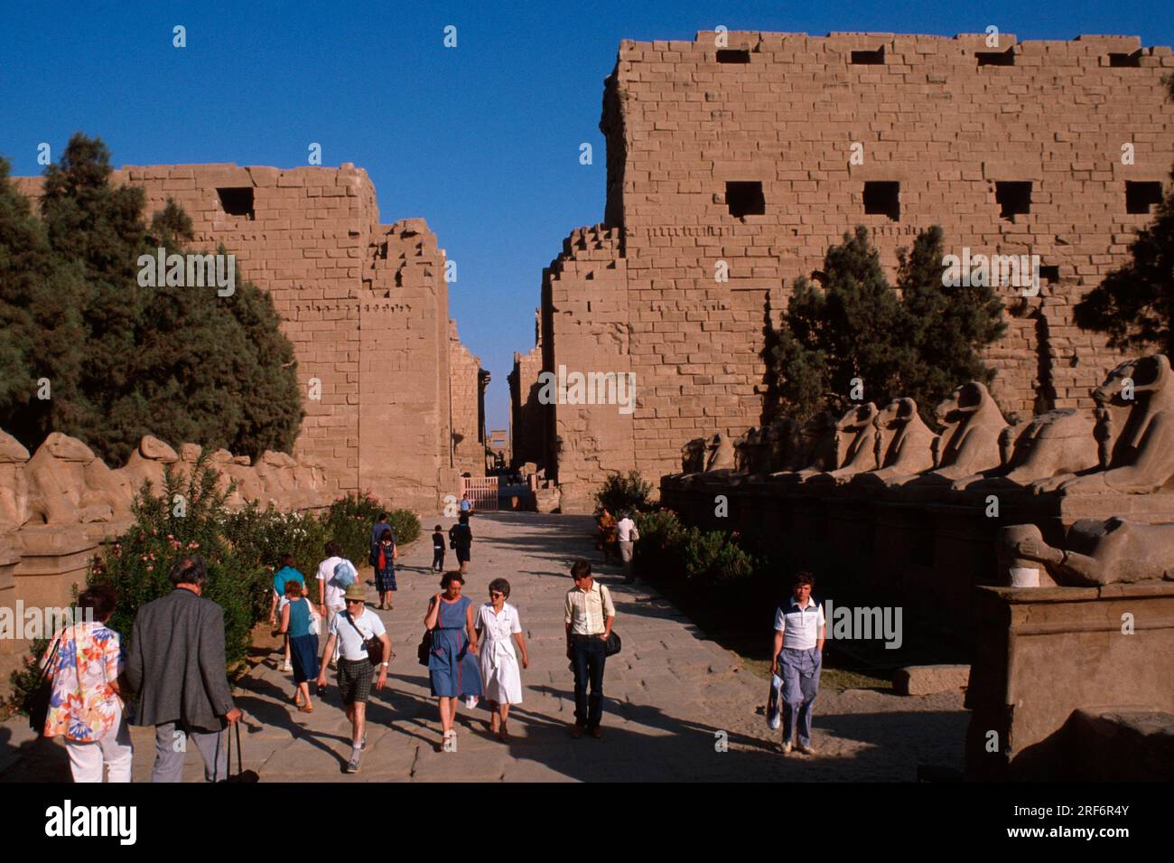 Temple of Amun, Karnak, Egypt Stock Photo - Alamy