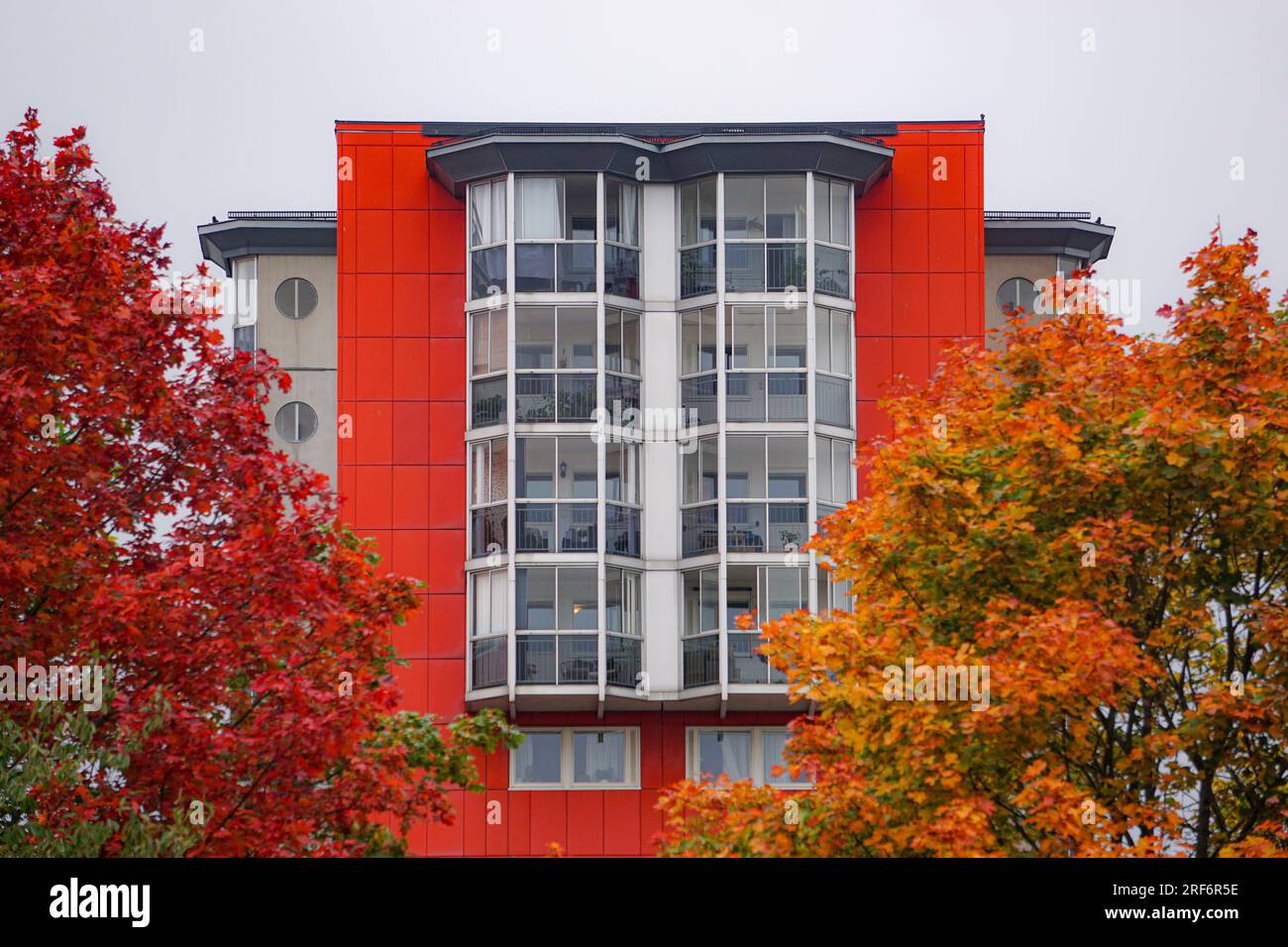 The outdoors and the tall trees in high rise building hi-res stock ...