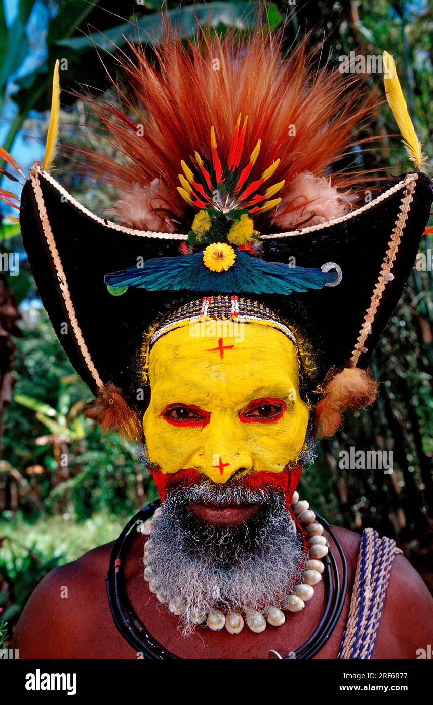 Huli wig man, Tari, Huli wig man, Papua New Guinea Stock Photo - Alamy