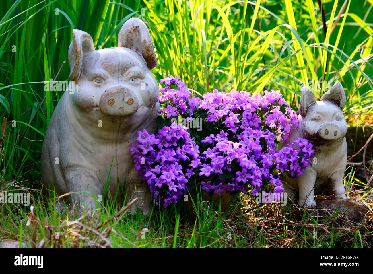 Ceramic pigs hi-res stock photography and images - Alamy