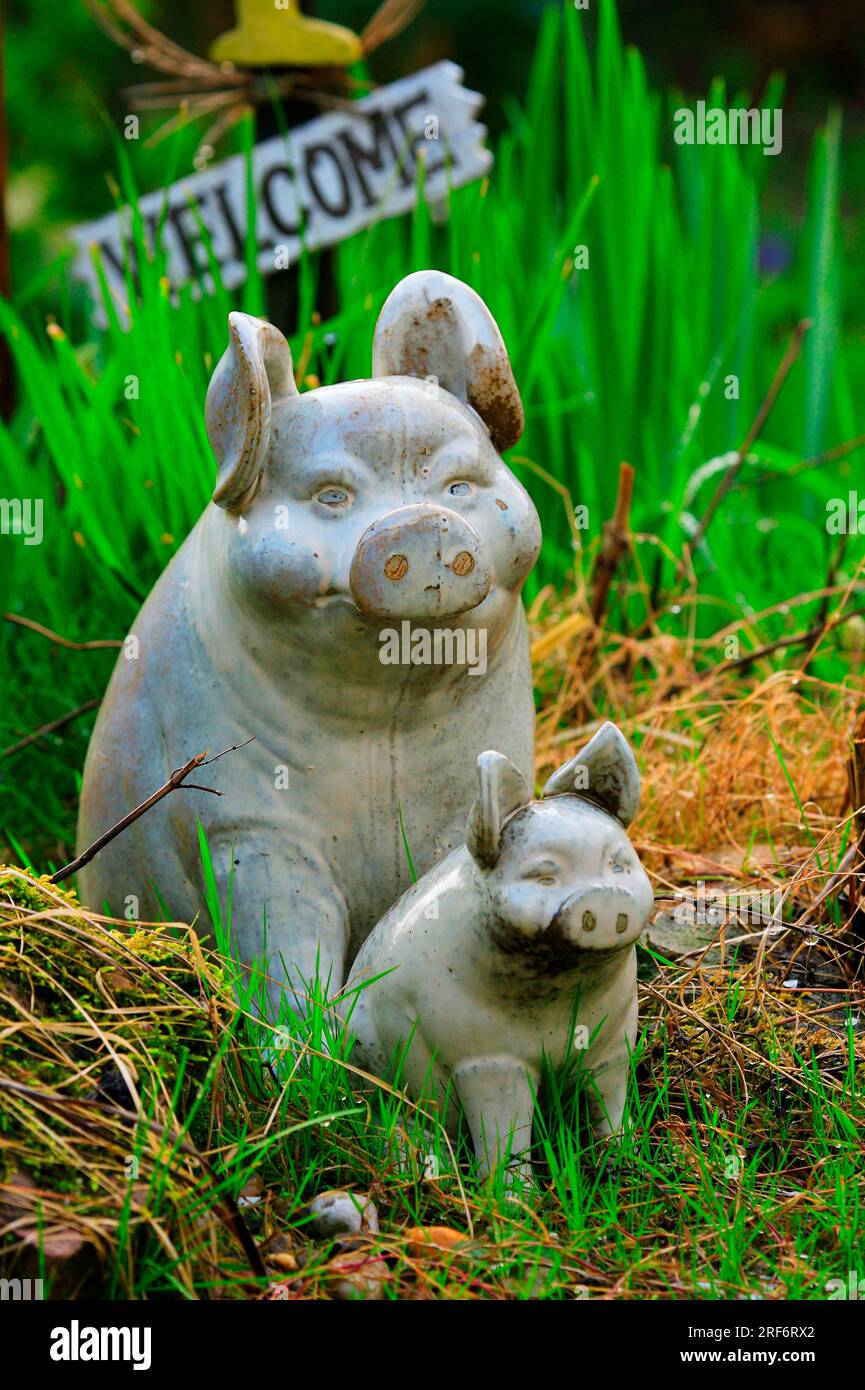 Ceramic pigs hi-res stock photography and images - Alamy
