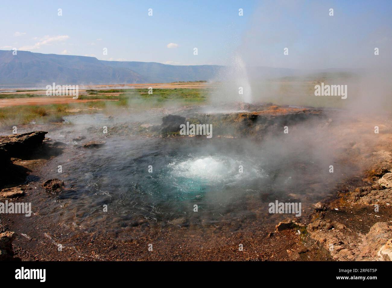 Geyser at lake bogoria hi-res stock photography and images - Alamy