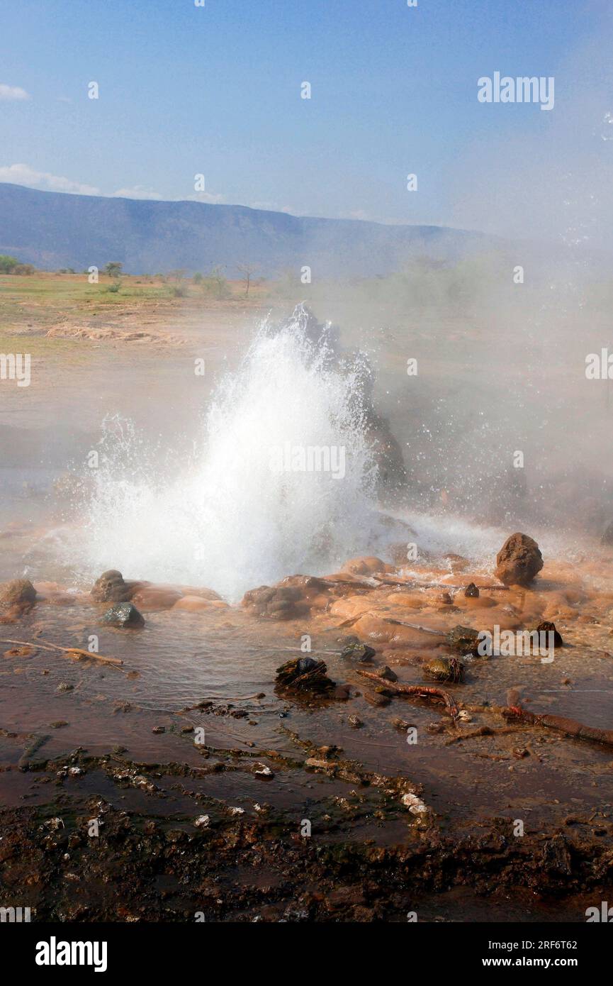 Hot Springs, Lake Bogoria, Kenya Stock Photo - Alamy