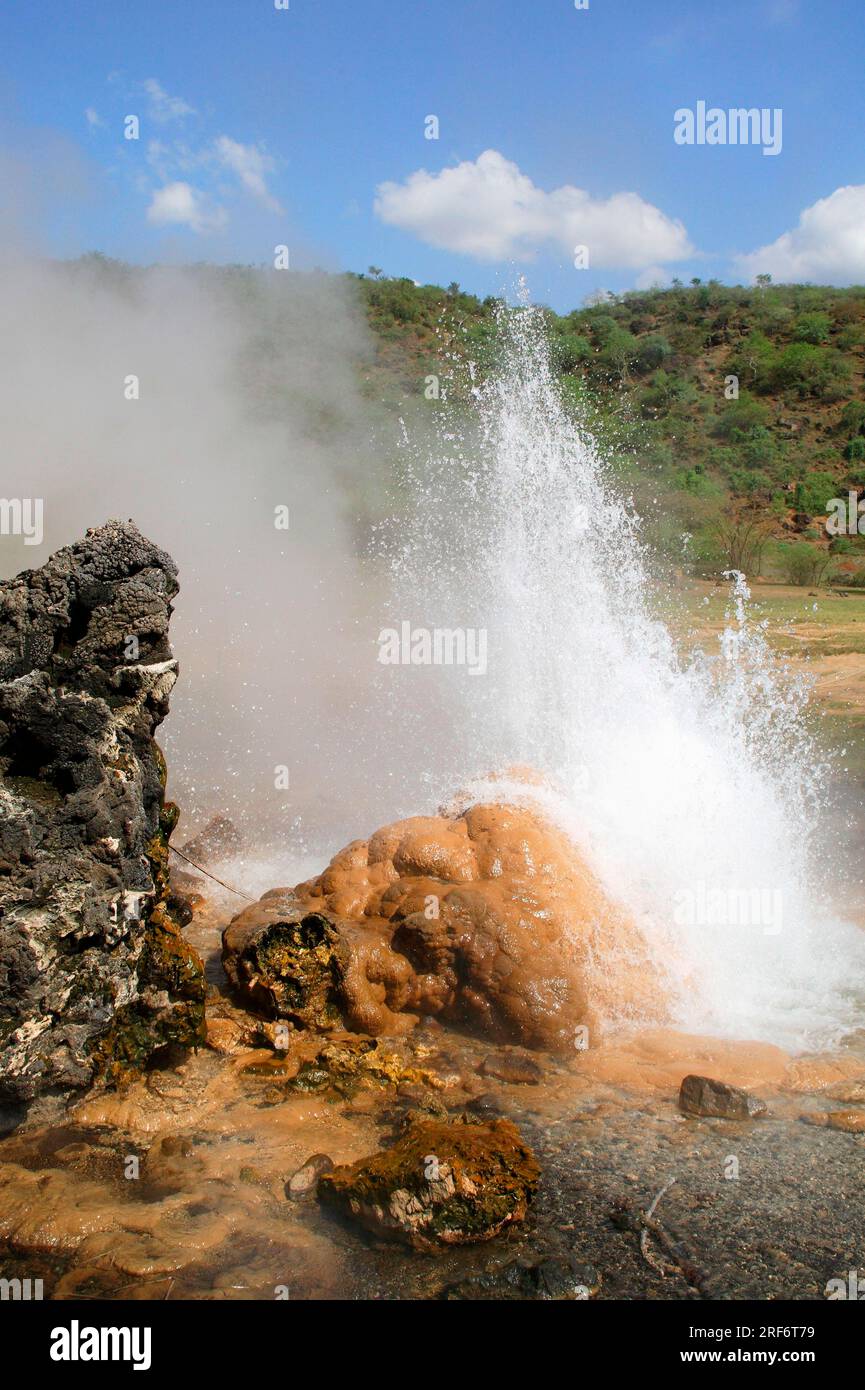 Hot Springs, Lake Bogoria, Kenya Stock Photo - Alamy