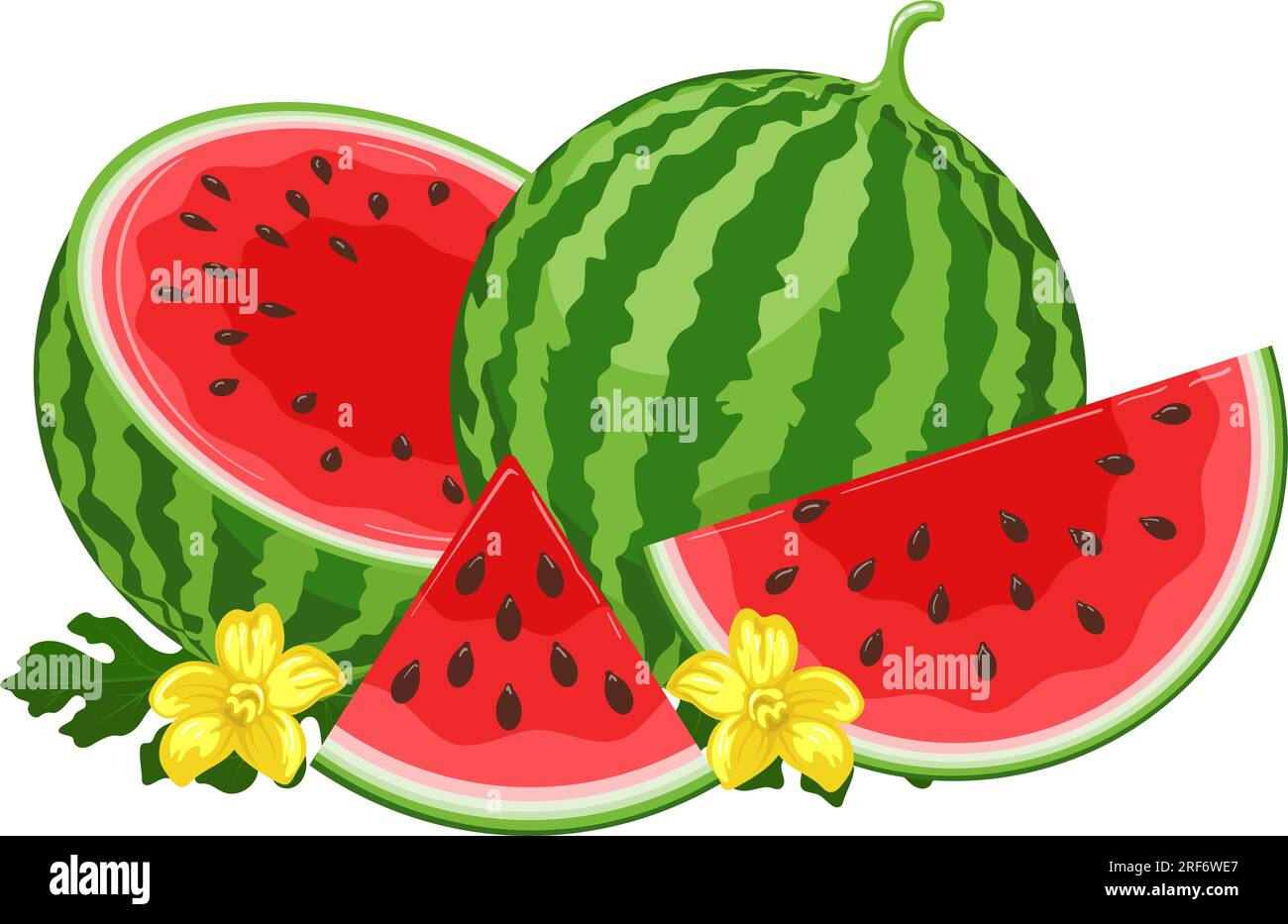Watermelons cartoon composition Stock Vector Image & Art - Alamy