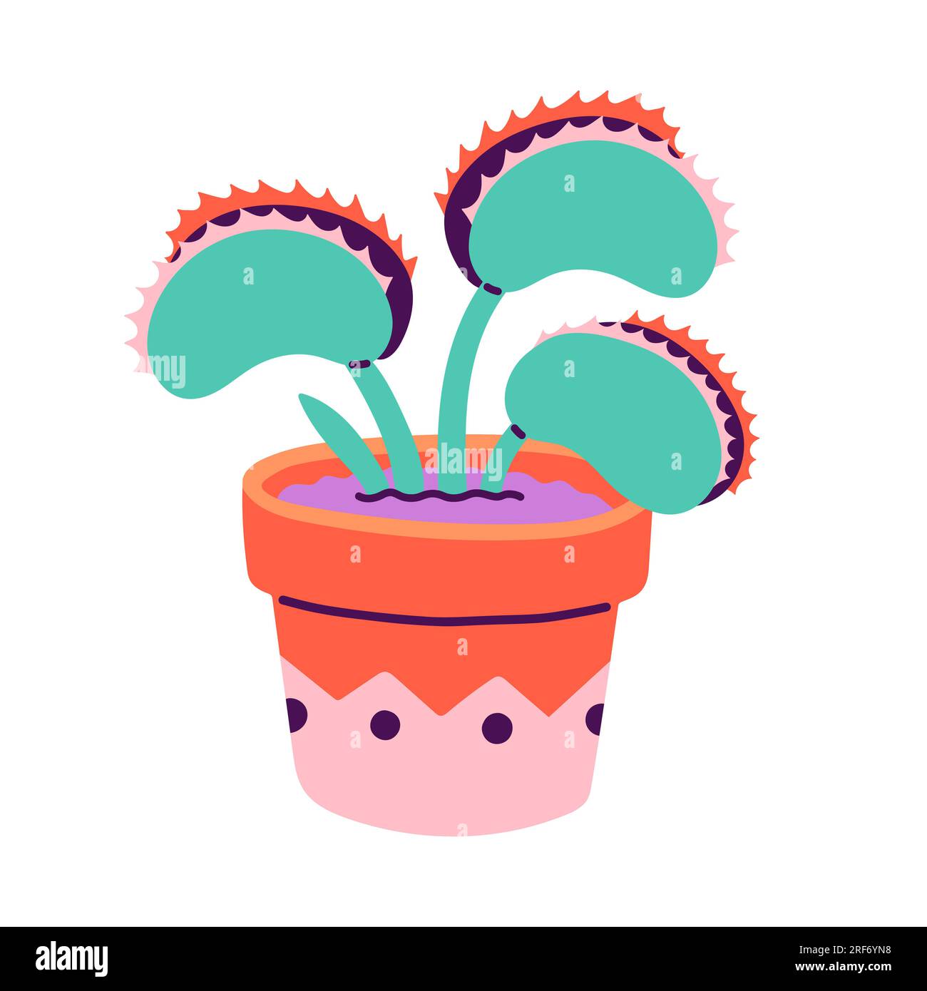 Venus Fly Trap Clipart