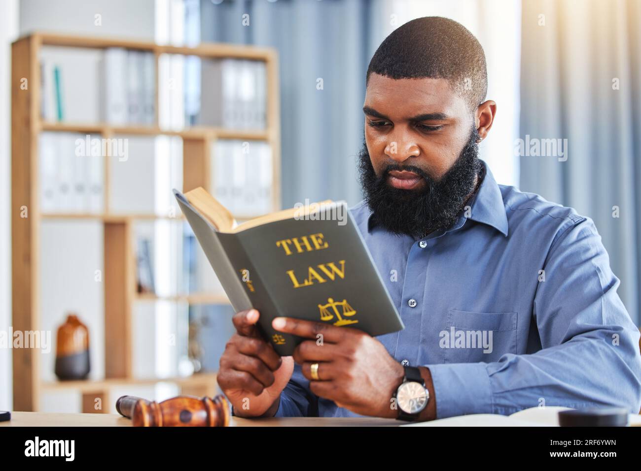 Lawyer businessman reading law hi-res stock photography and images - Alamy