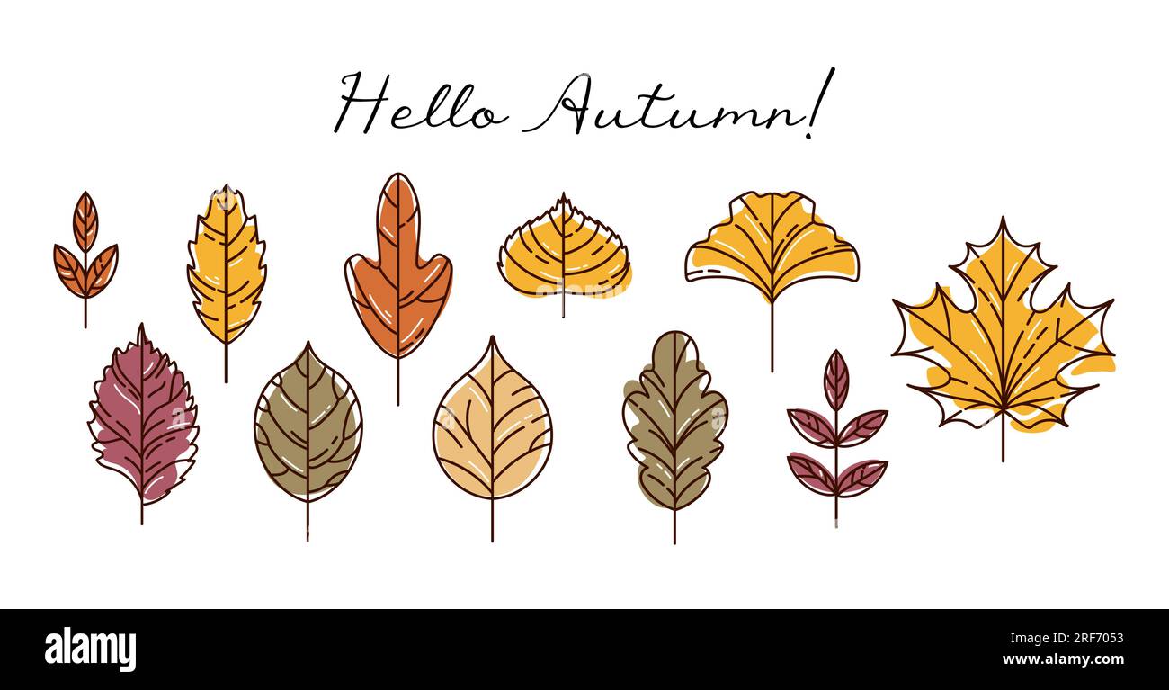 Set of colorful modern autumn leaf icons. Maple and rowan, ginkgo ...