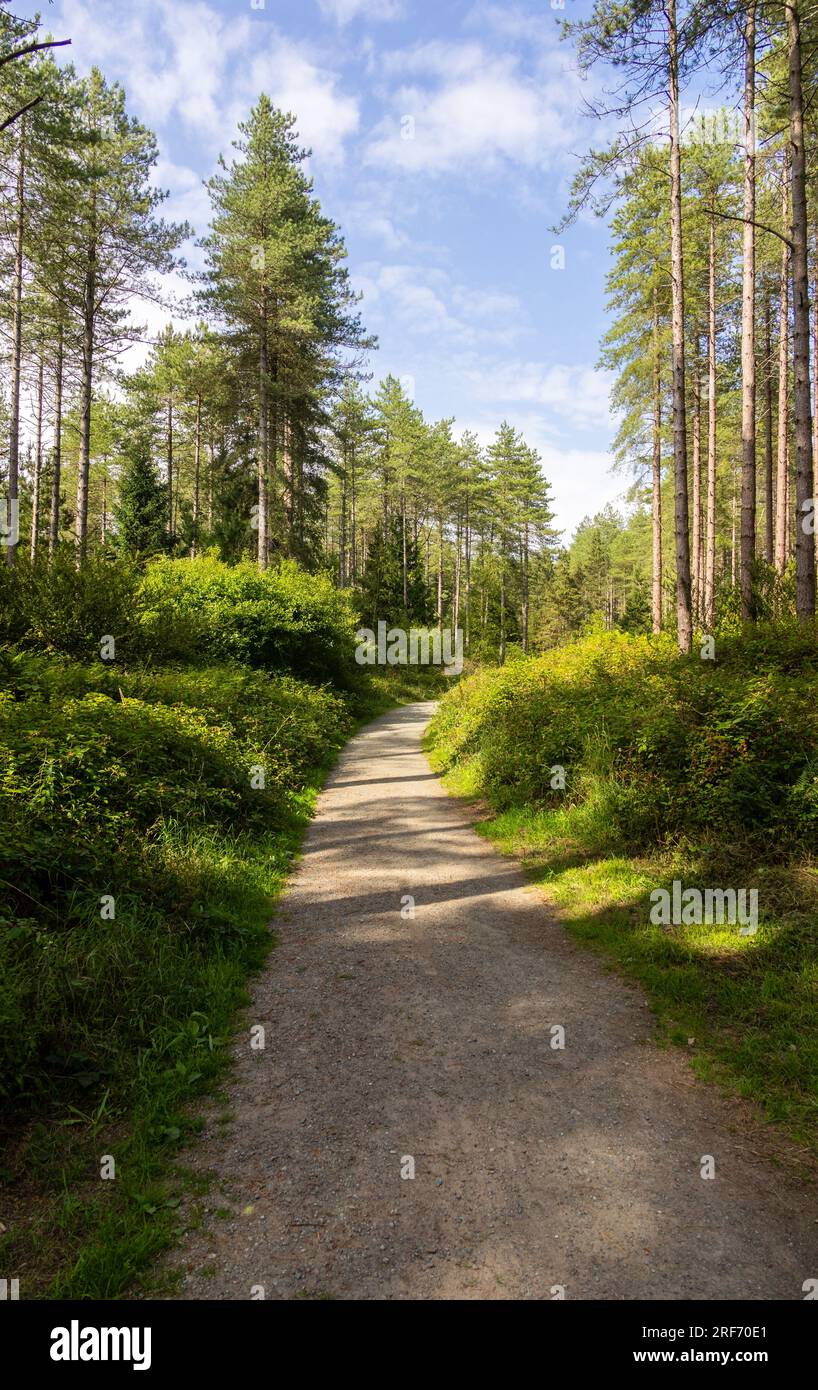 Curving gravel path hi-res stock photography and images - Alamy