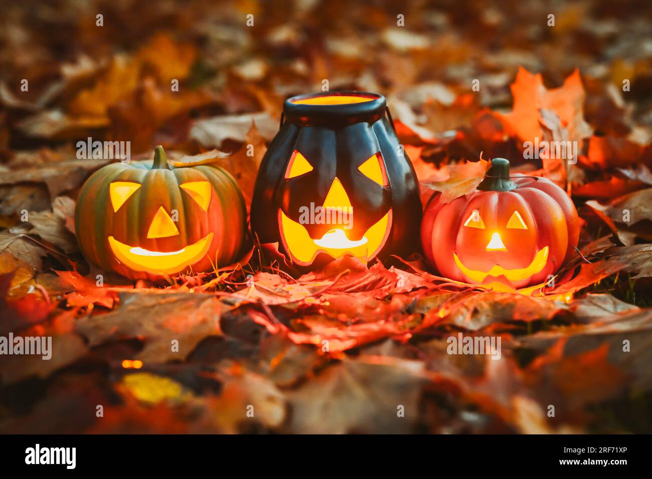 Krbis Halloween Bilder