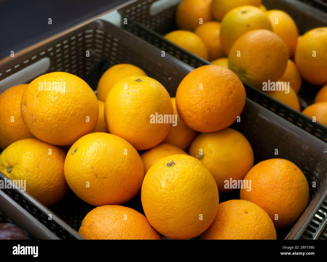 No ripe fruit hi-res stock photography and images - Alamy