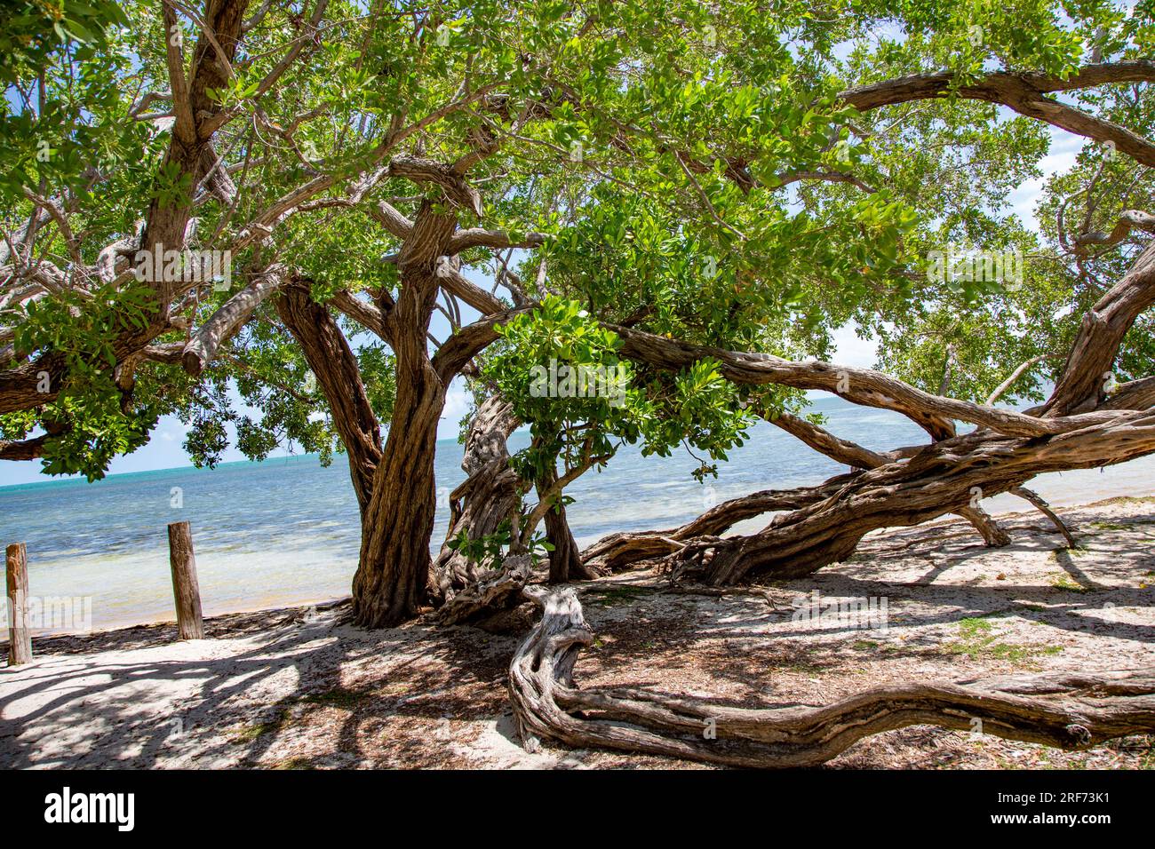 Florida empty beach landscape hi-res stock photography and images - Alamy