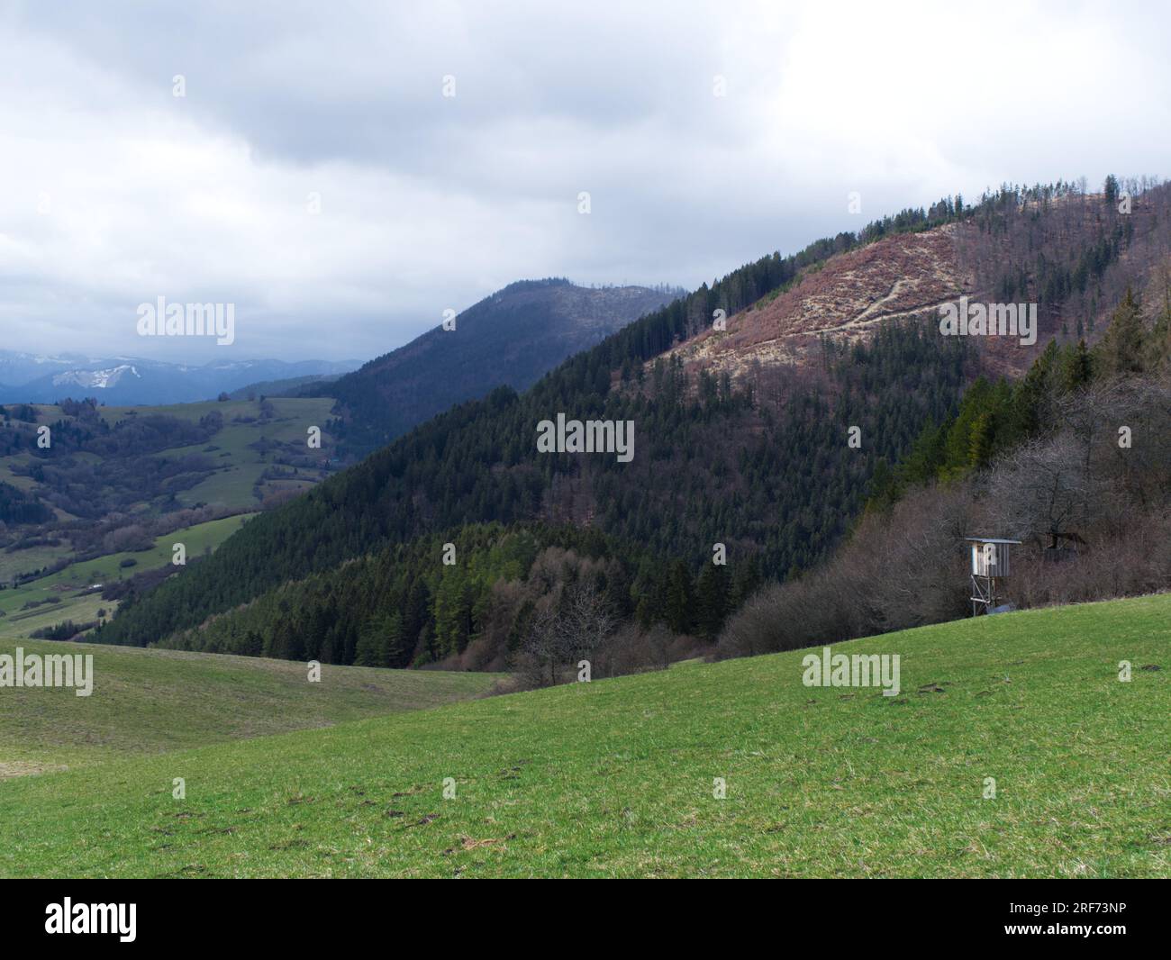 Wildlife observation hut Stock Photo - Alamy