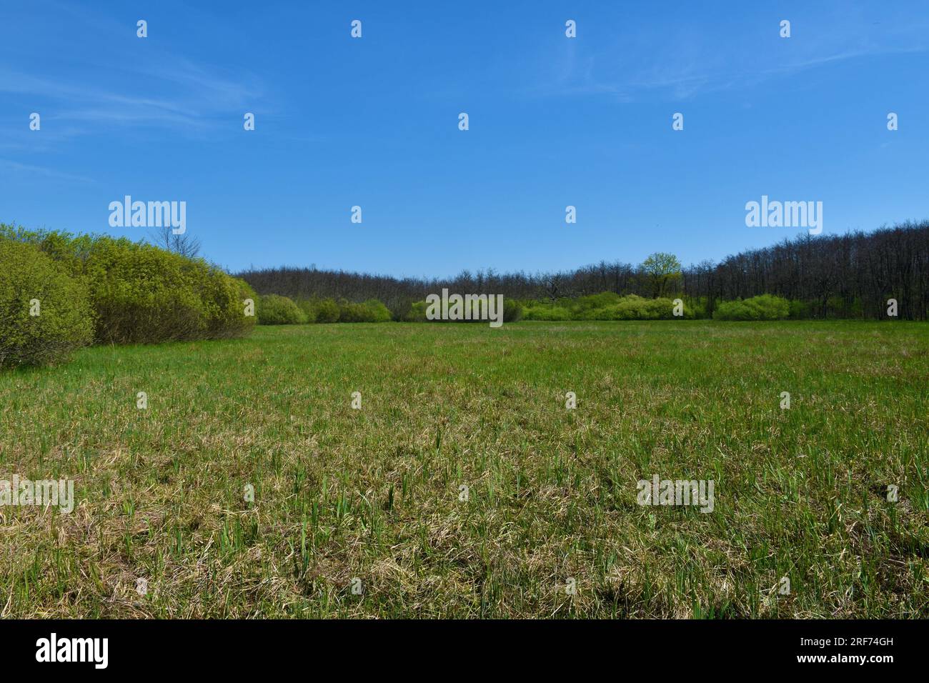 View of Trstnik marsh wetlands in Krakov forest, Dolenjska, Slovenia ...