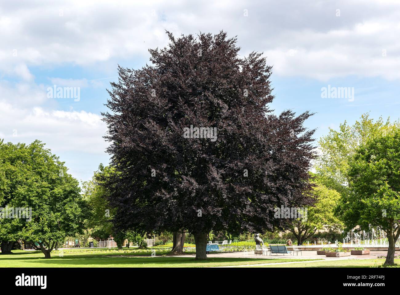 Swat magret hi-res stock photography and images - Alamy